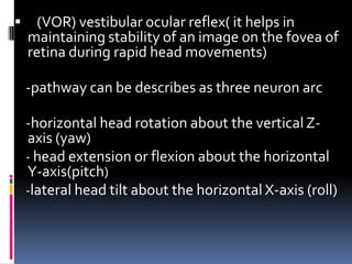 Vestibular function test and its clinical examination | PPTX