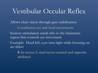 vestibular LEC12.ppt neuro rehabilitation | PPT