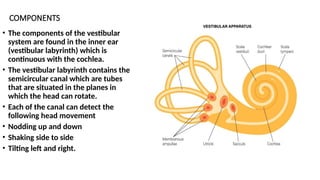 VESTIBULAR PATHWAY SLIDE BY DR. STANLEY-1.pptx