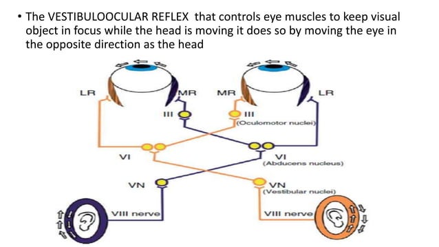 VESTIBULAR PHYSIOLOGY BY DR .SHLOKA.pptx