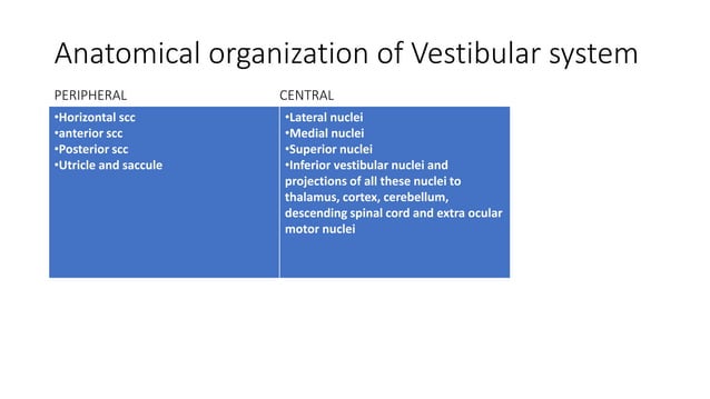 VESTIBULAR PHYSIOLOGY BY DR .SHLOKA.pptx