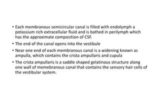 VESTIBULAR PHYSIOLOGY BY DR .SHLOKA.pptx
