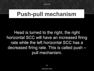 Vestibular rehabilitation | PPT