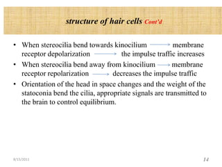Vestibular sysstem | PPT