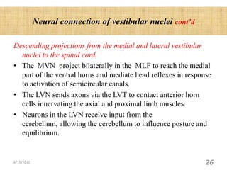 Vestibular sysstem | PPT