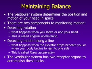 Vestibular System | PPT