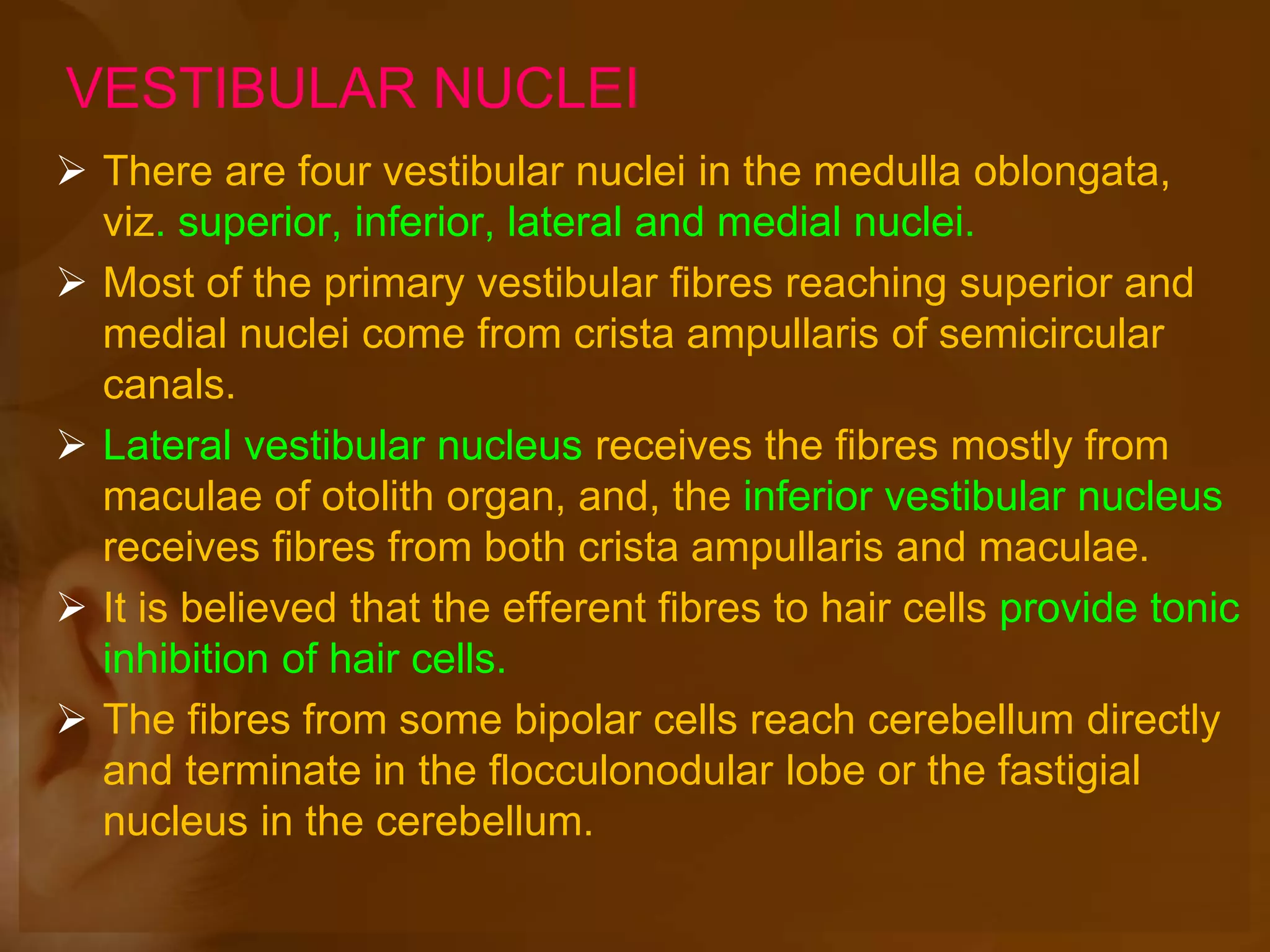 Vestibular system | PPTX
