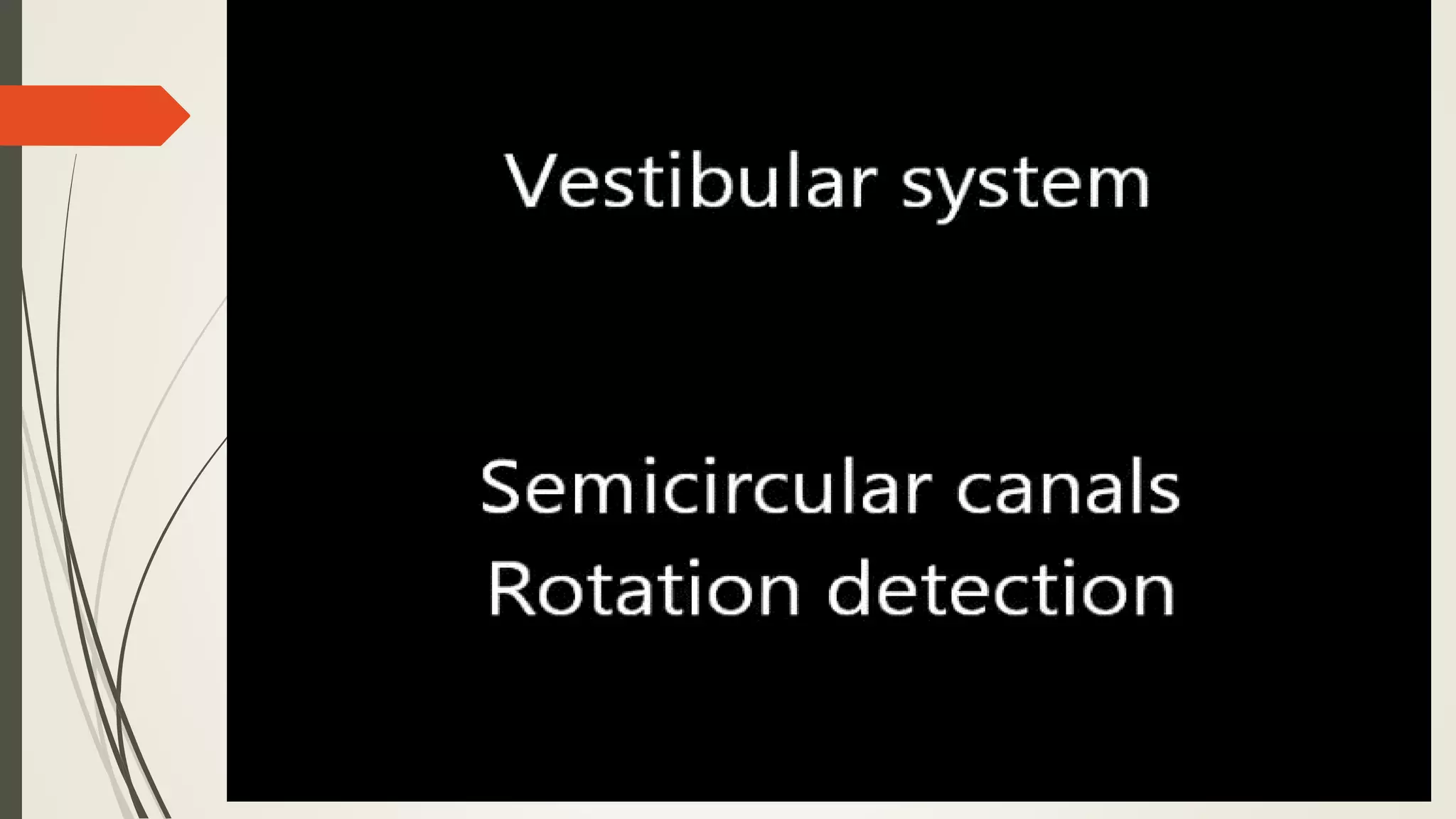 Vestibular system -Maintenance of Balance and Equilibrium | PPTX