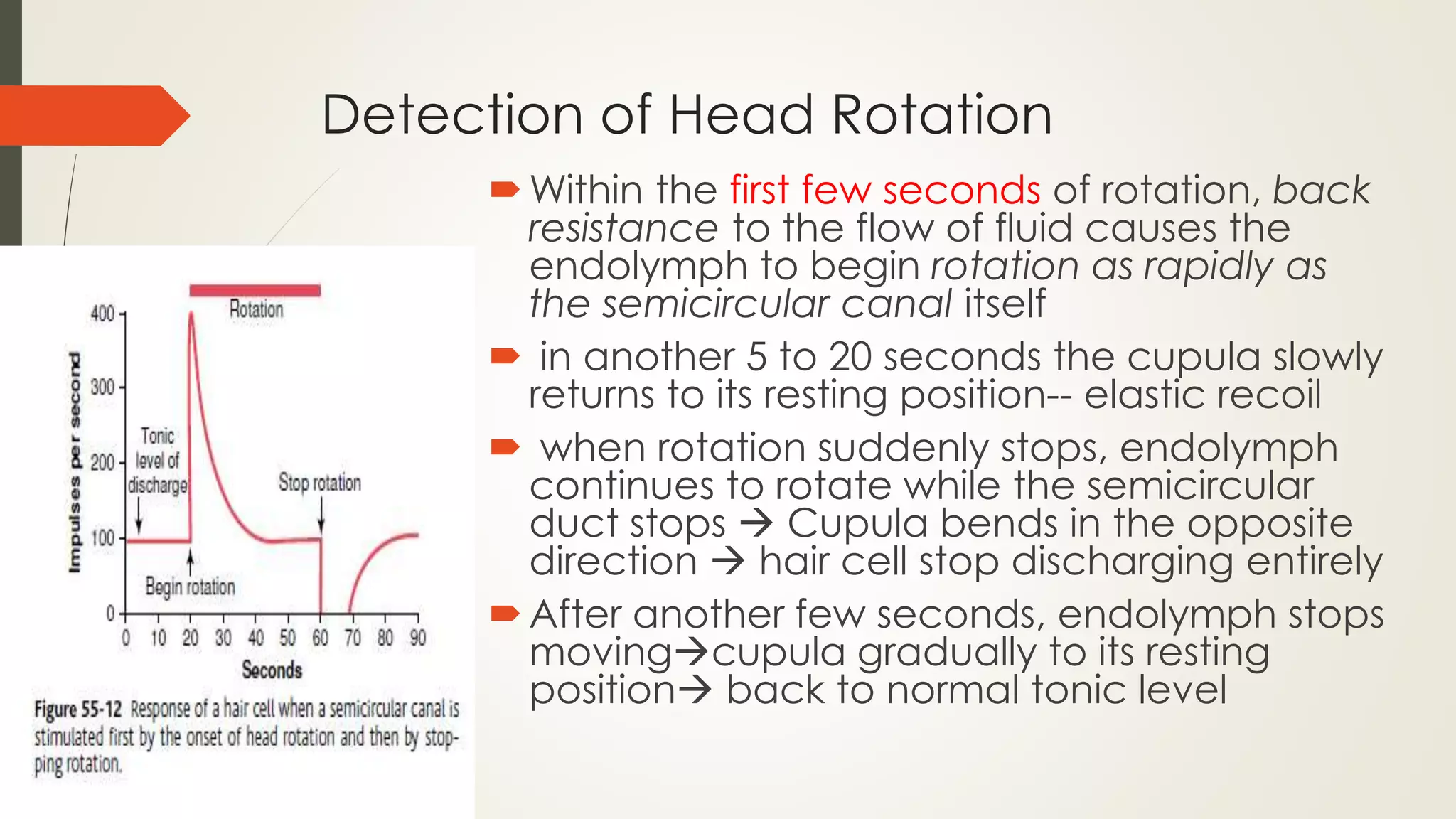 Vestibular system -Maintenance of Balance and Equilibrium | PPTX