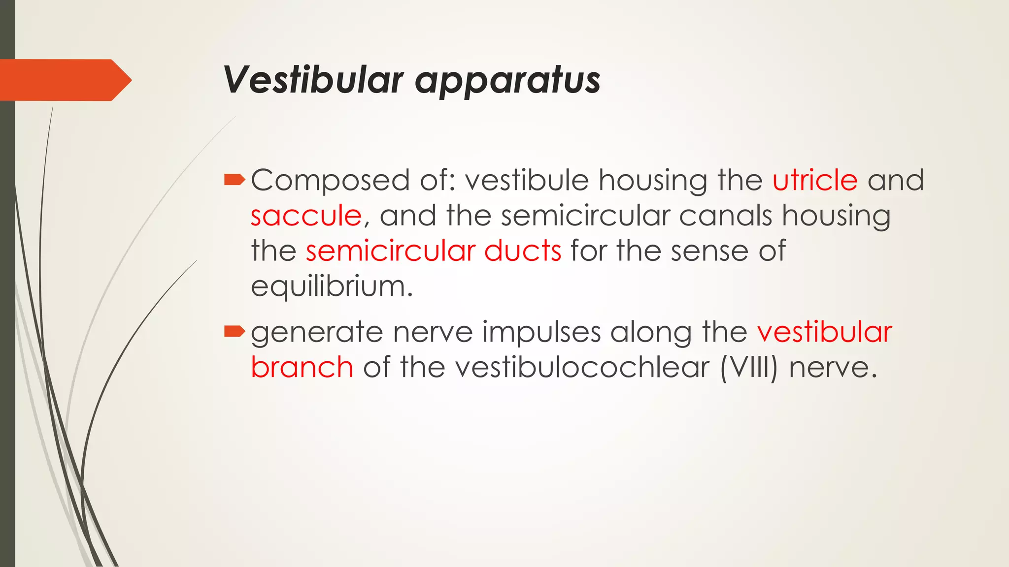 Vestibular system -Maintenance of Balance and Equilibrium | PPTX