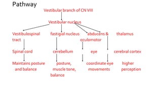 Vestibular system | PPTX