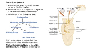 Vestibular system | PPTX