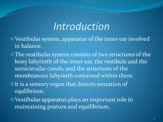 Vestibular system | PPTX