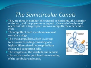 Vestibular system | PPTX