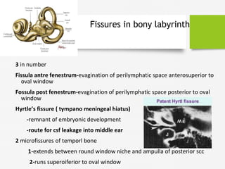 Anatomy of inner ear | PPTX
