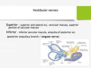 Anatomy of inner ear | PPTX