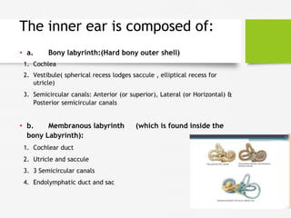 Anatomy of inner ear | PPTX