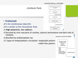 Anatomy of inner ear | PPT