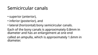 Vestibular system anatomy from baslp sem | PPTX