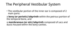 Vestibular system anatomy from baslp sem | PPTX