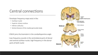 Vestibular system and hearing | PPTX