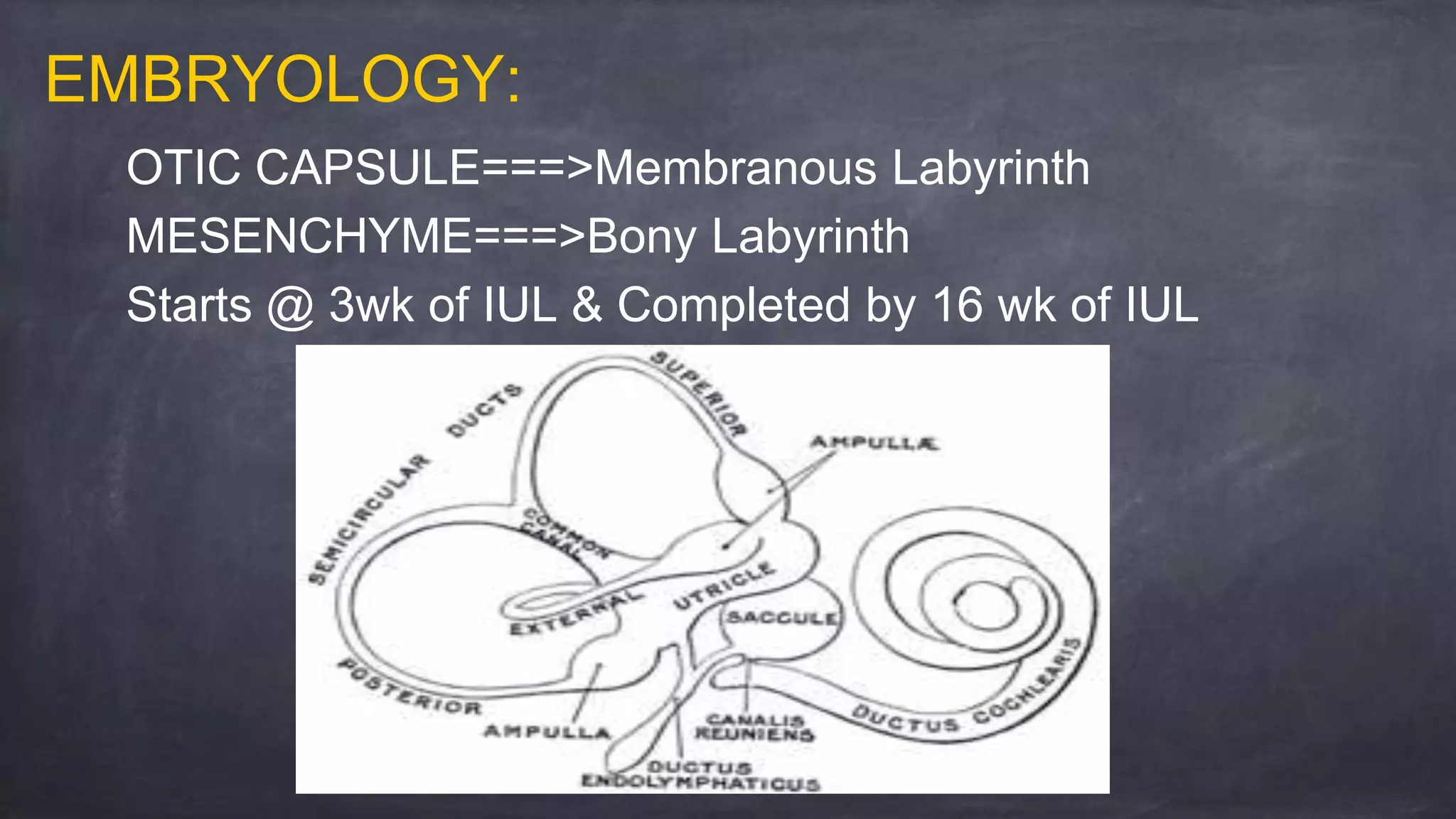 Vestibular system | PPTX