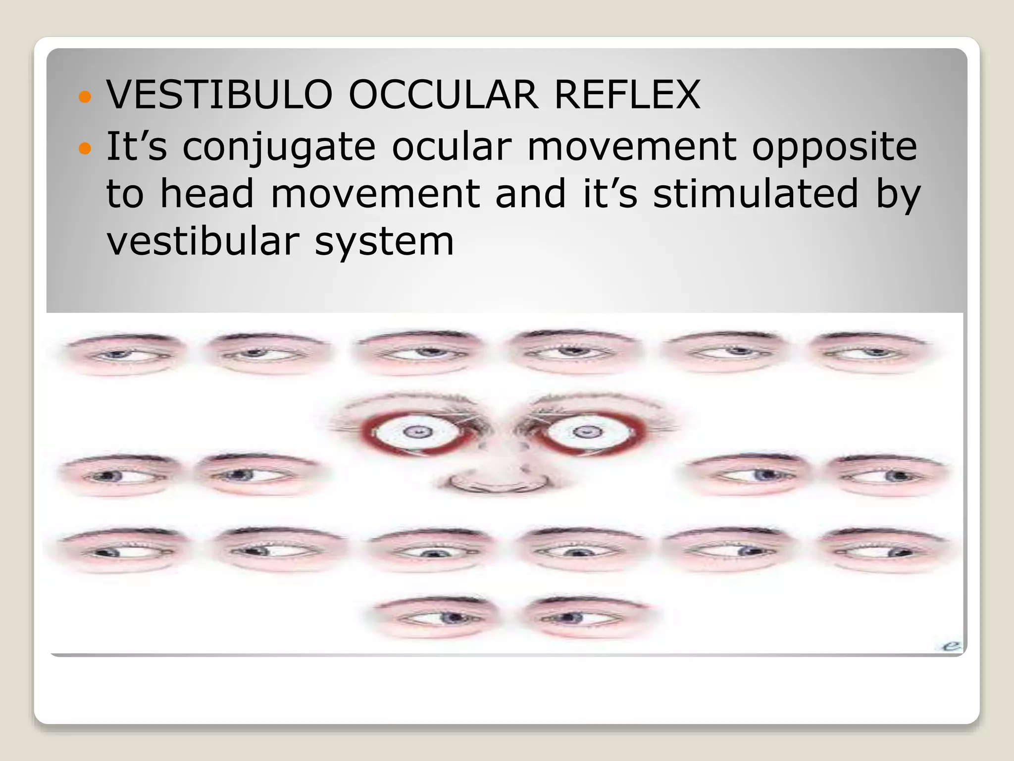 Vestibulo ocular reflex | PPTX