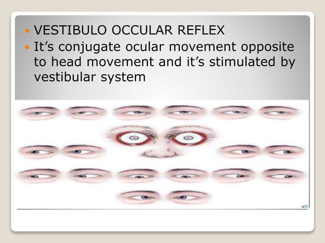 Vestibulo ocular reflex | PPTX