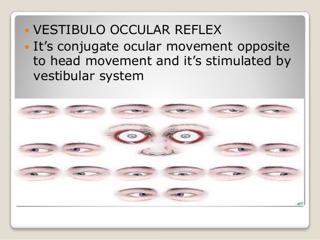Vestibulo ocular reflex