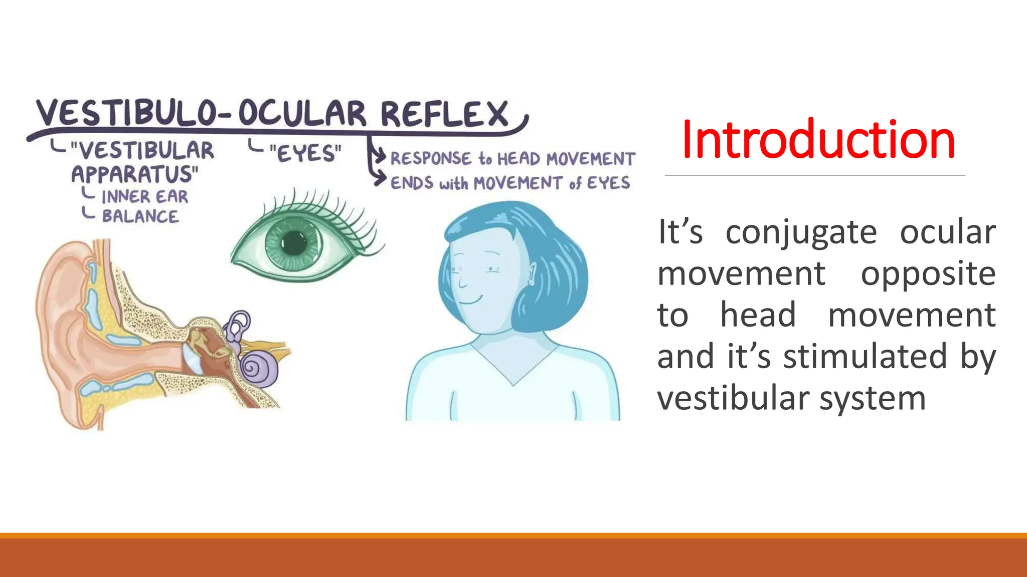 Vestibulo Ocular Reflex Mode Biomedelingl.pptx