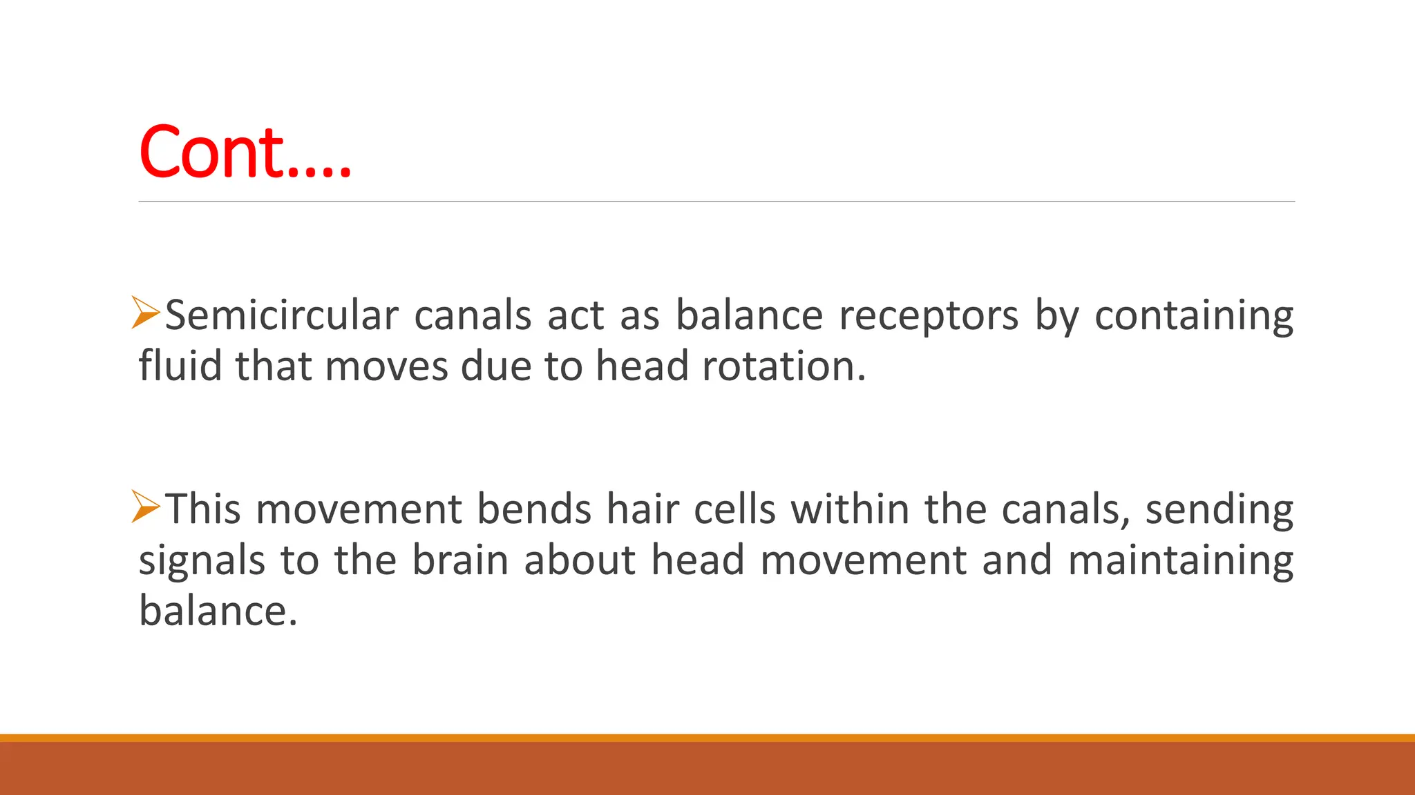 Vestibulo Ocular Reflex Mode Biomedelingl.pptx