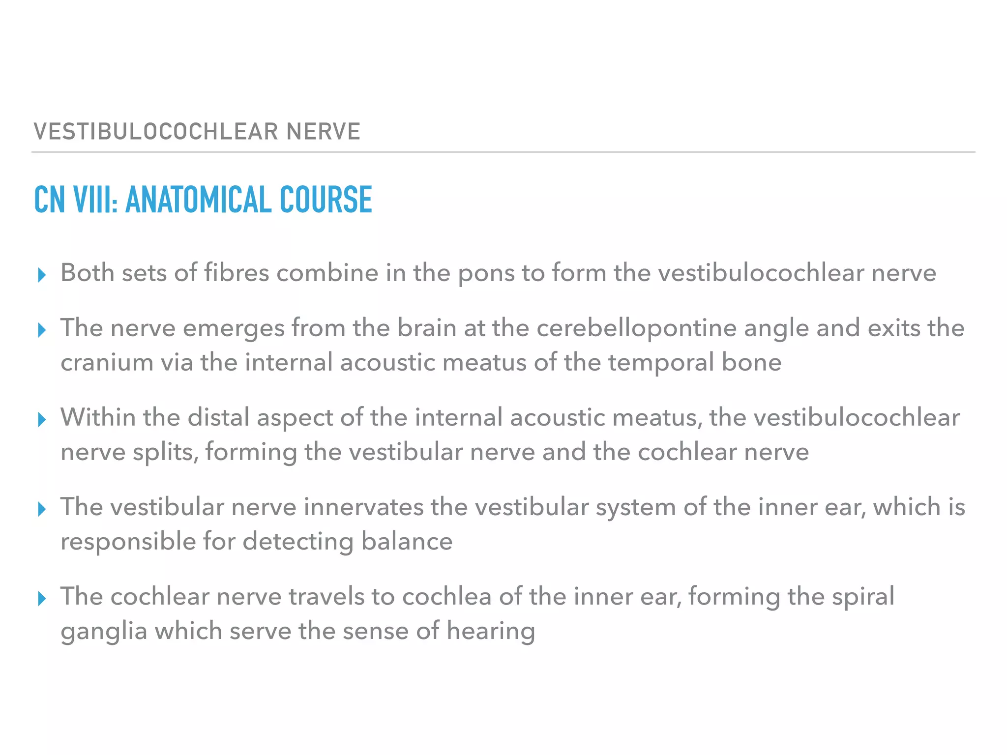 Vestibulocochlear nerve | PDF
