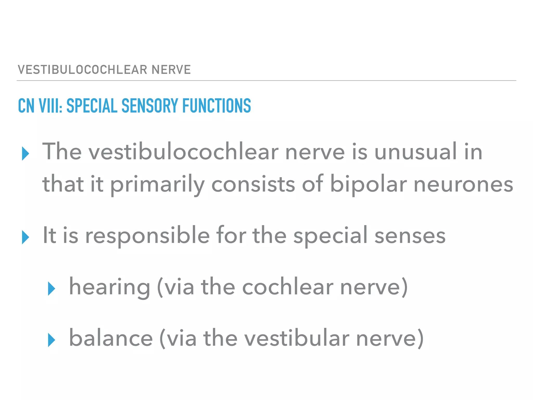 Vestibulocochlear nerve | PDF