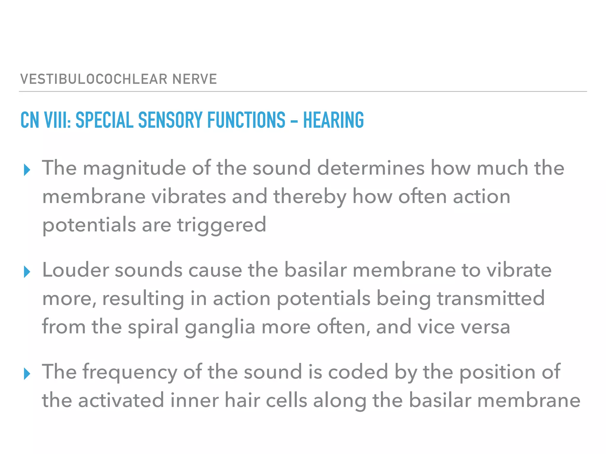 Vestibulocochlear nerve | PDF