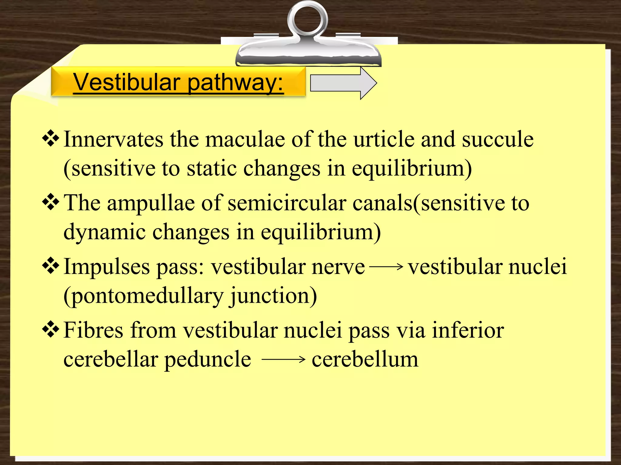 vestibulocochlearnerve8-160906100316.pdf