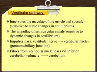 vestibulocochlearnerve8-160906100316.pdf