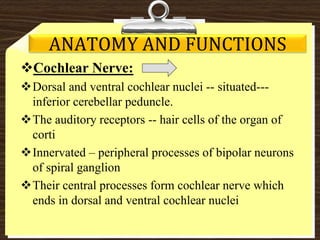 Vestibulocochlear nerve 8 | PPT