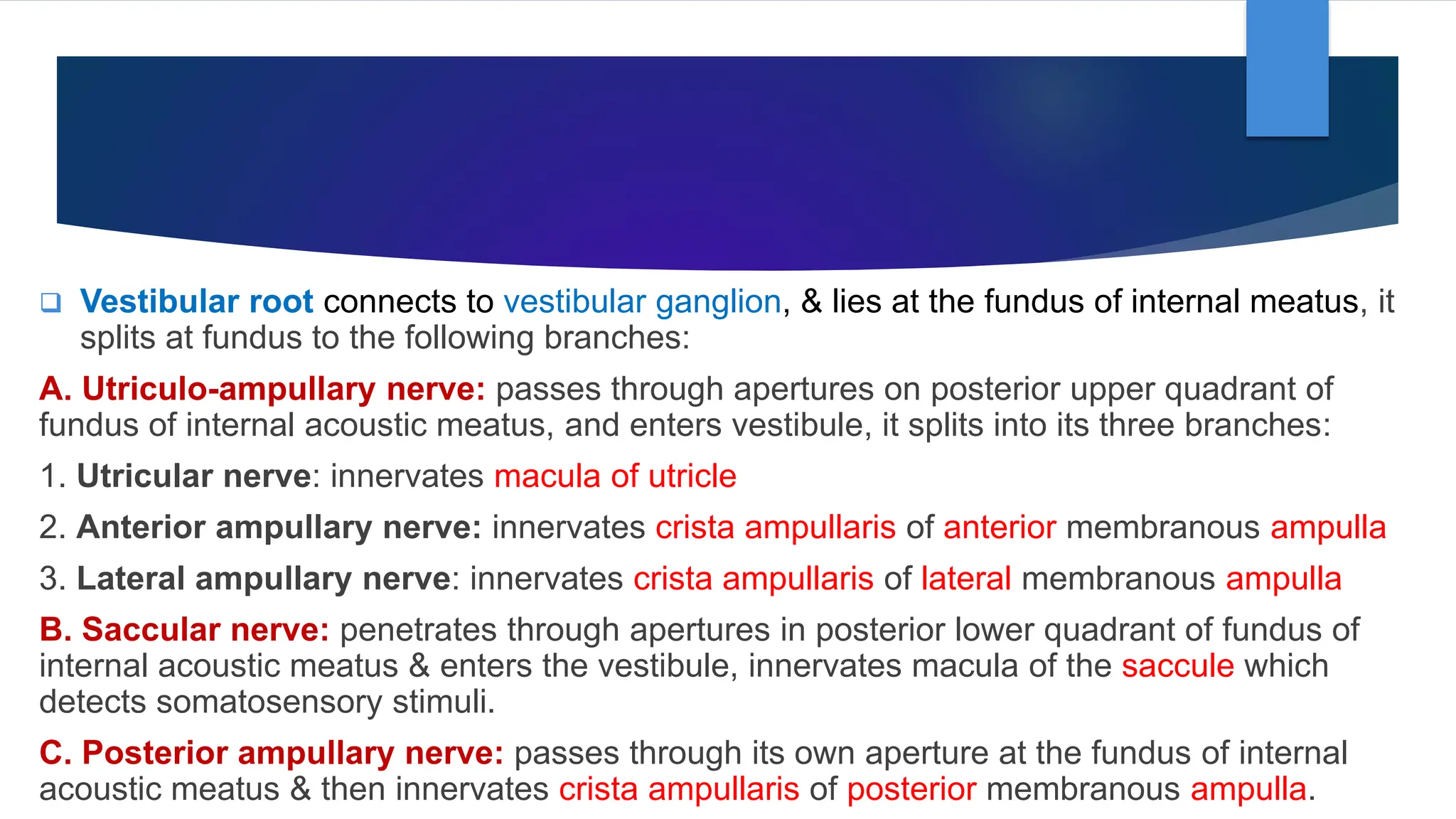 Vestibulocochlear Nerve by Dr. Rabia Inam Gandapore.pptx