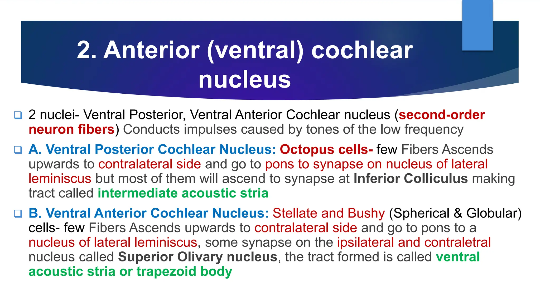 Vestibulocochlear Nerve by Dr. Rabia Inam Gandapore.pptx
