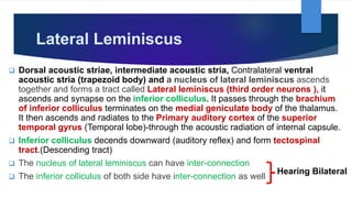 Vestibulocochlear Nerve by Dr. Rabia Inam Gandapore.pptx