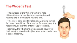vestibulocochlear nerve dr roop.pdf