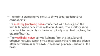 vestibulocochlear nerve dr roop.pdf