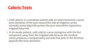 vestibulocochlear nerve dr roop.pdf