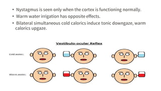 vestibulocochlear nerve dr roop.pdf