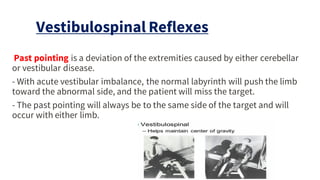 vestibulocochlear nerve dr roop.pdf