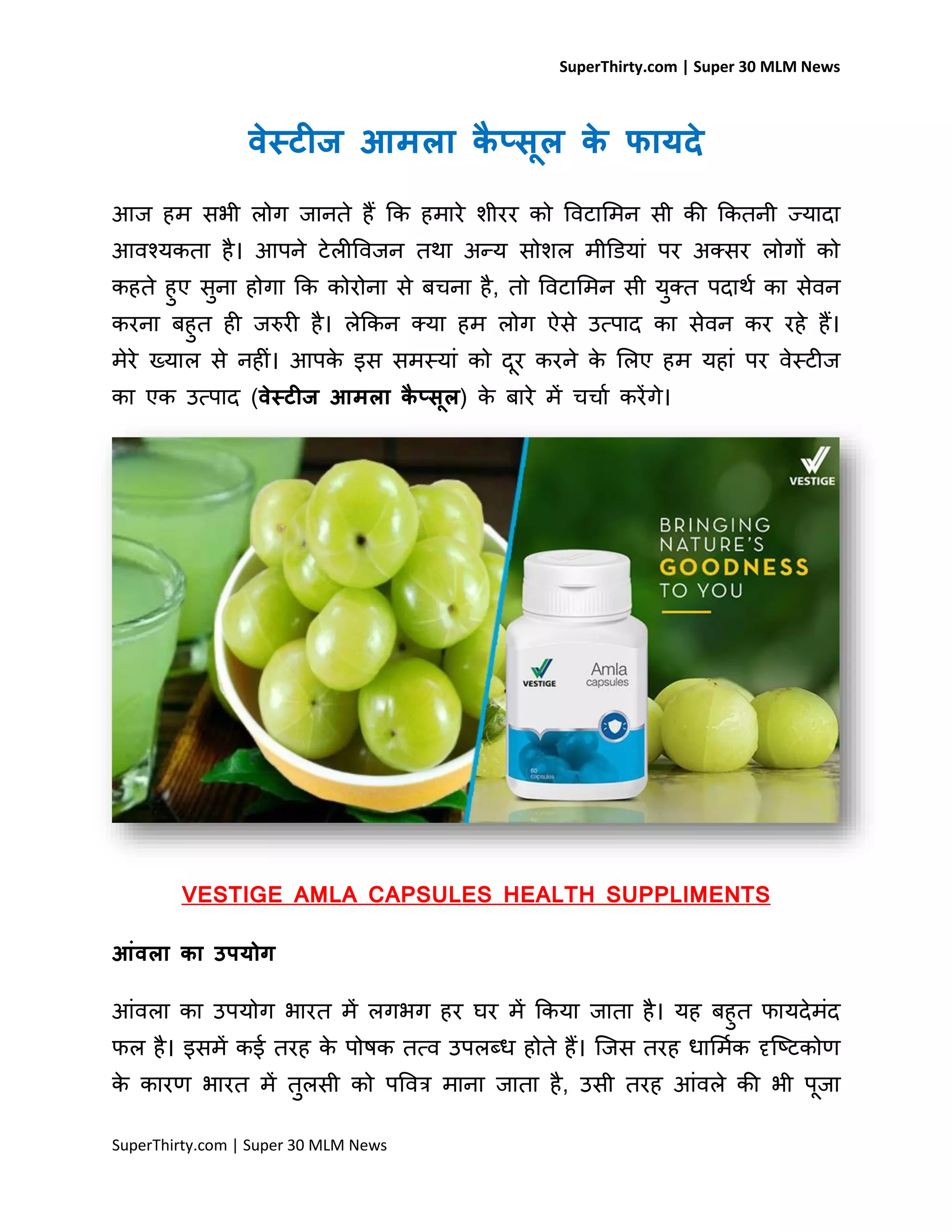 Vestige Amla Capsules | PDF
