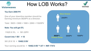 Vestige business plan - Wish you wealth | PDF