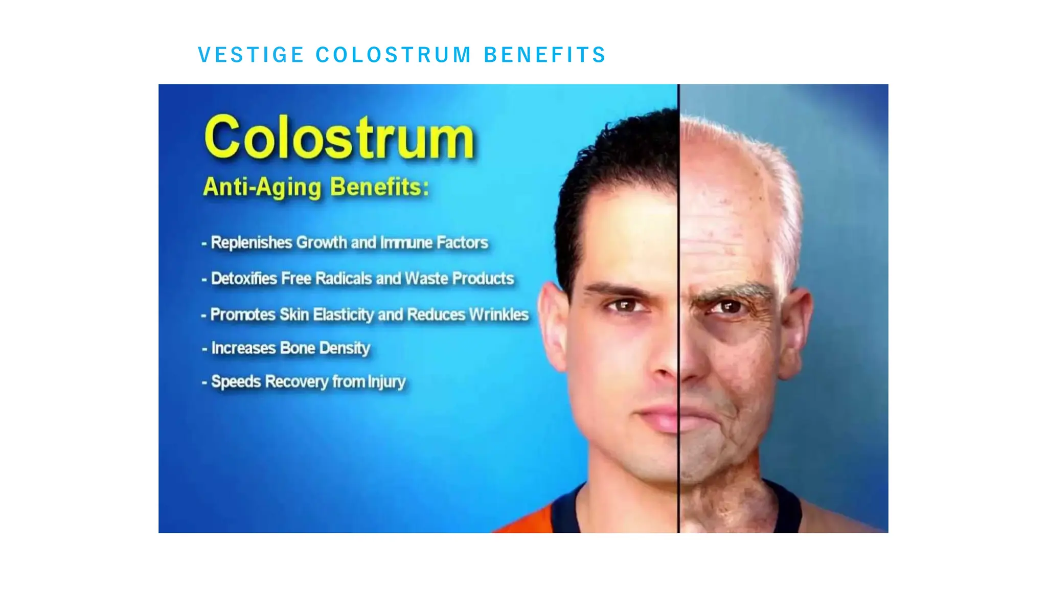 Vestige Colostrum product intro ductions | PDF