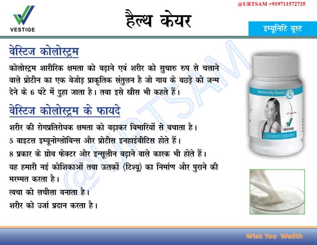 Vestige marketing success plan