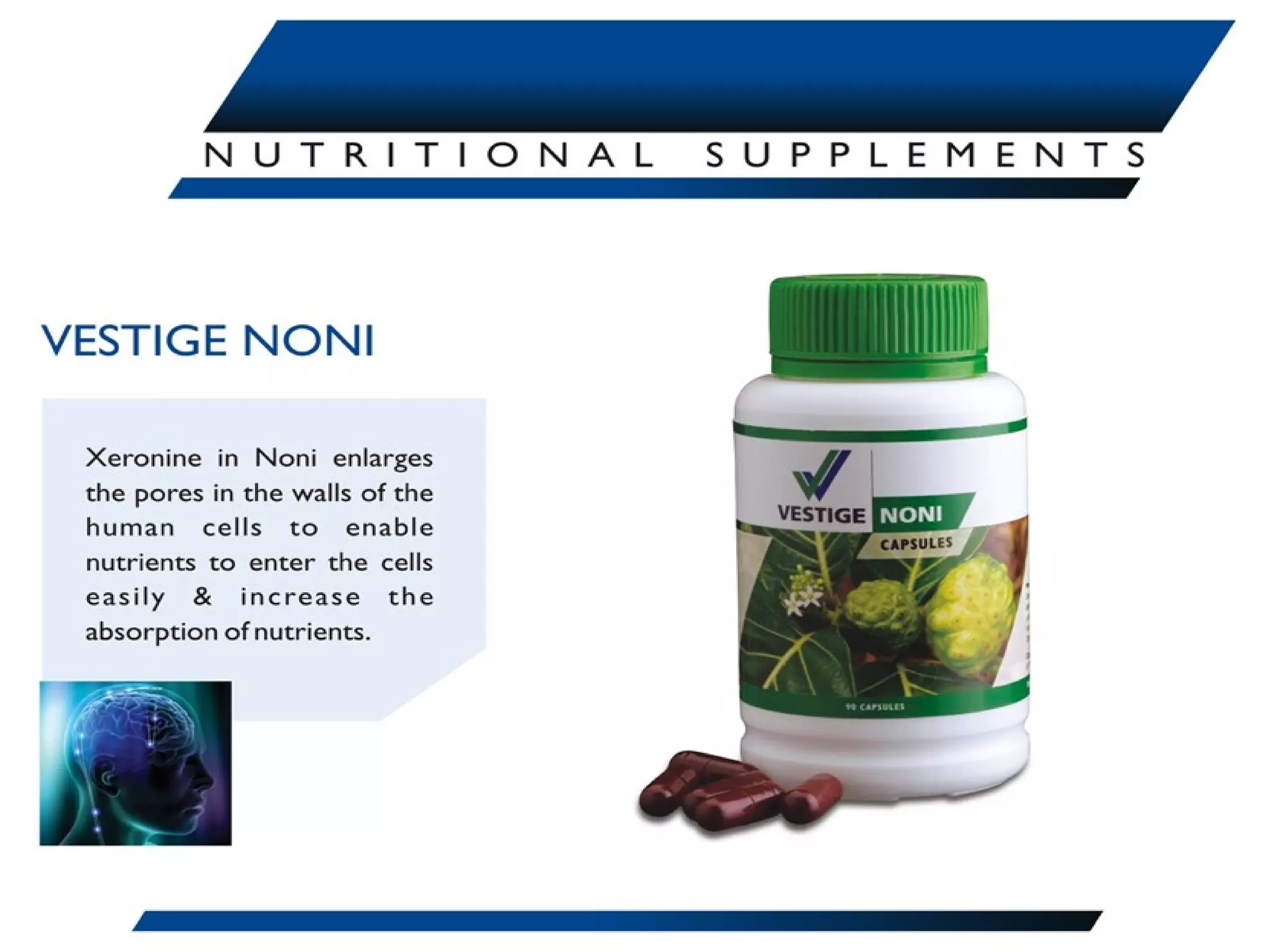 Vestige product | PPT